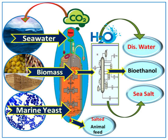 Introducing a Marine Biorefinery System for the Integrated Production ...
