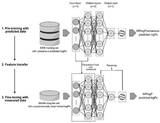 MRlogP: Transfer Learning Enables Accurate logP Prediction Using Small ...