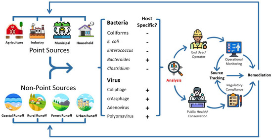 Processes | Free Full-Text | Biological Indicators for Fecal Pollution Detection and Source ...