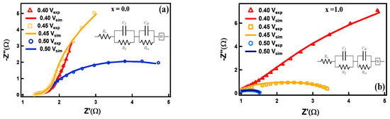 Electrochemical Performance of Iron-Doped Cobalt Oxide Hierarchical Nanostructure