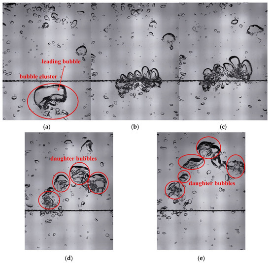 Processes | Special Issue : Complex Fluid Dynamics Modeling and Simulation