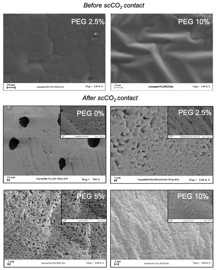 Processes | Free Full-Text | Optimization of PCL Polymeric Films as ...