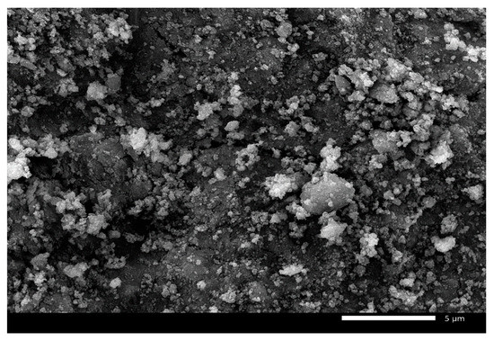 Comparison of the Accelerated and Spontaneous Deactivation of the HDS ...