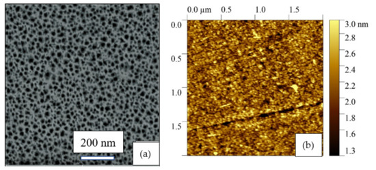 Nanoporous Layers and the Peculiarities of Their Local Formation on a ...