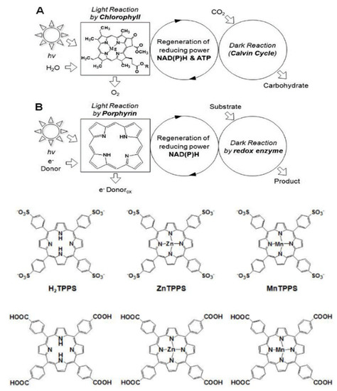 Developing and Regenerating Cofactors for Sustainable Enzymatic CO2 ...