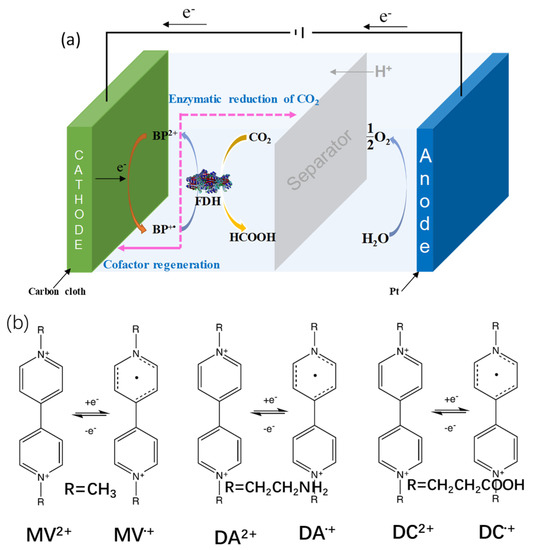 Developing and Regenerating Cofactors for Sustainable Enzymatic CO2 ...