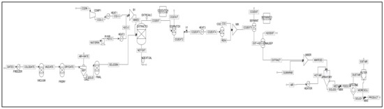Supercritical Technology-Based Date Sugar Powder Production: Process ...