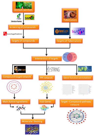 Implementation of System Pharmacology and Molecular Docking Approaches ...