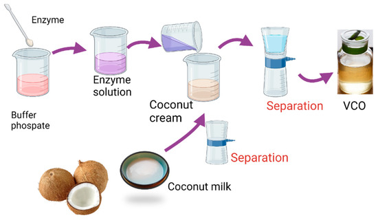 Papain Enzyme Assisted Extraction of Virgin Coconut Oil as Candidate In-House Reference Material