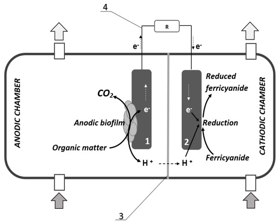 Potential Use of Microbial Fuel Cell Technology in Wastewater Treatment