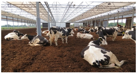 A Composting Bedding System for Animals as a Contribution to the ...