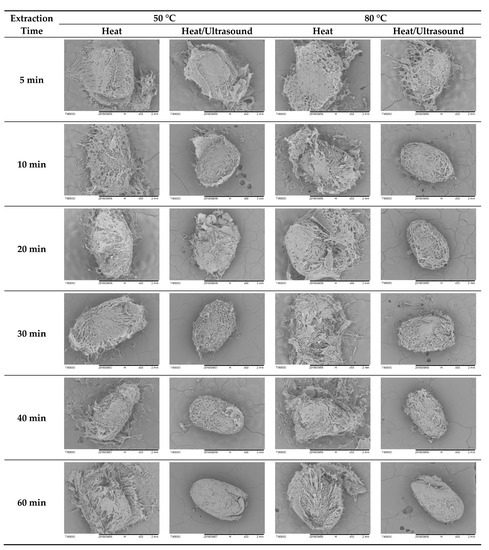 Combination of Ultrasound and Heat in the Extraction of Chia Seed (Salvia hispanica L.) Mucilage ...