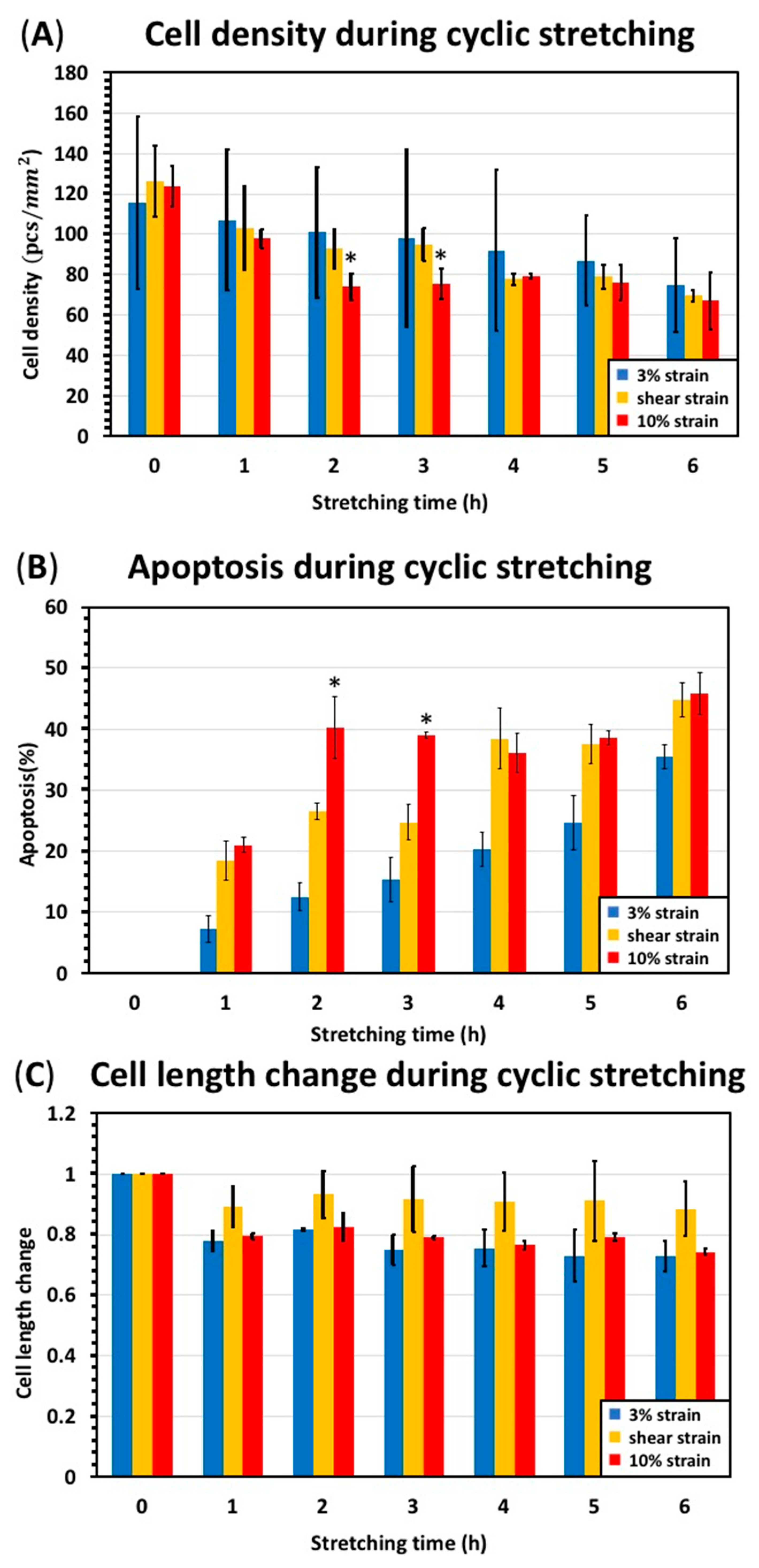 Effect of Static and Dynamic Stretching on Corneal Fibroblast Cell