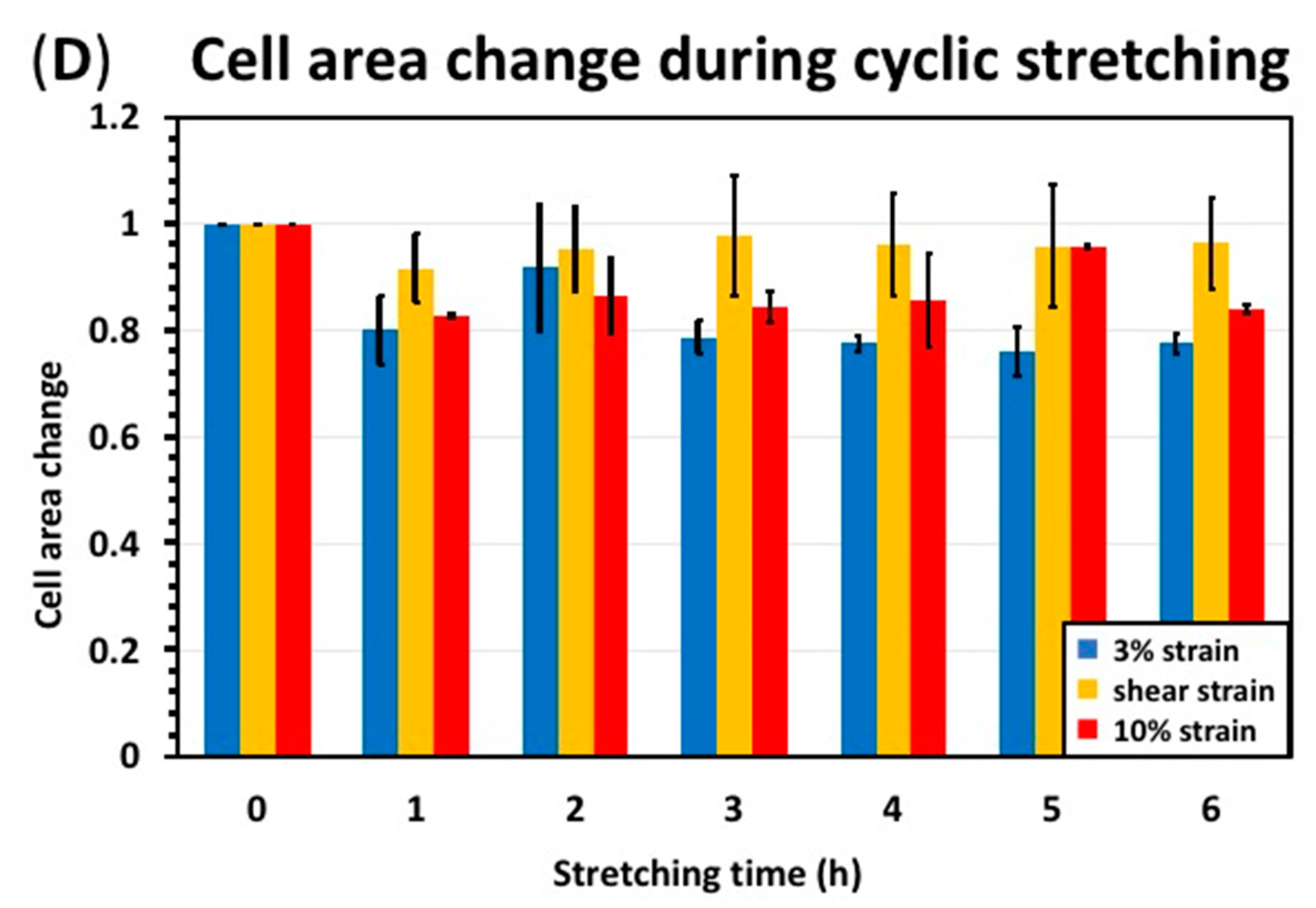 Effect of Static and Dynamic Stretching on Corneal Fibroblast Cell