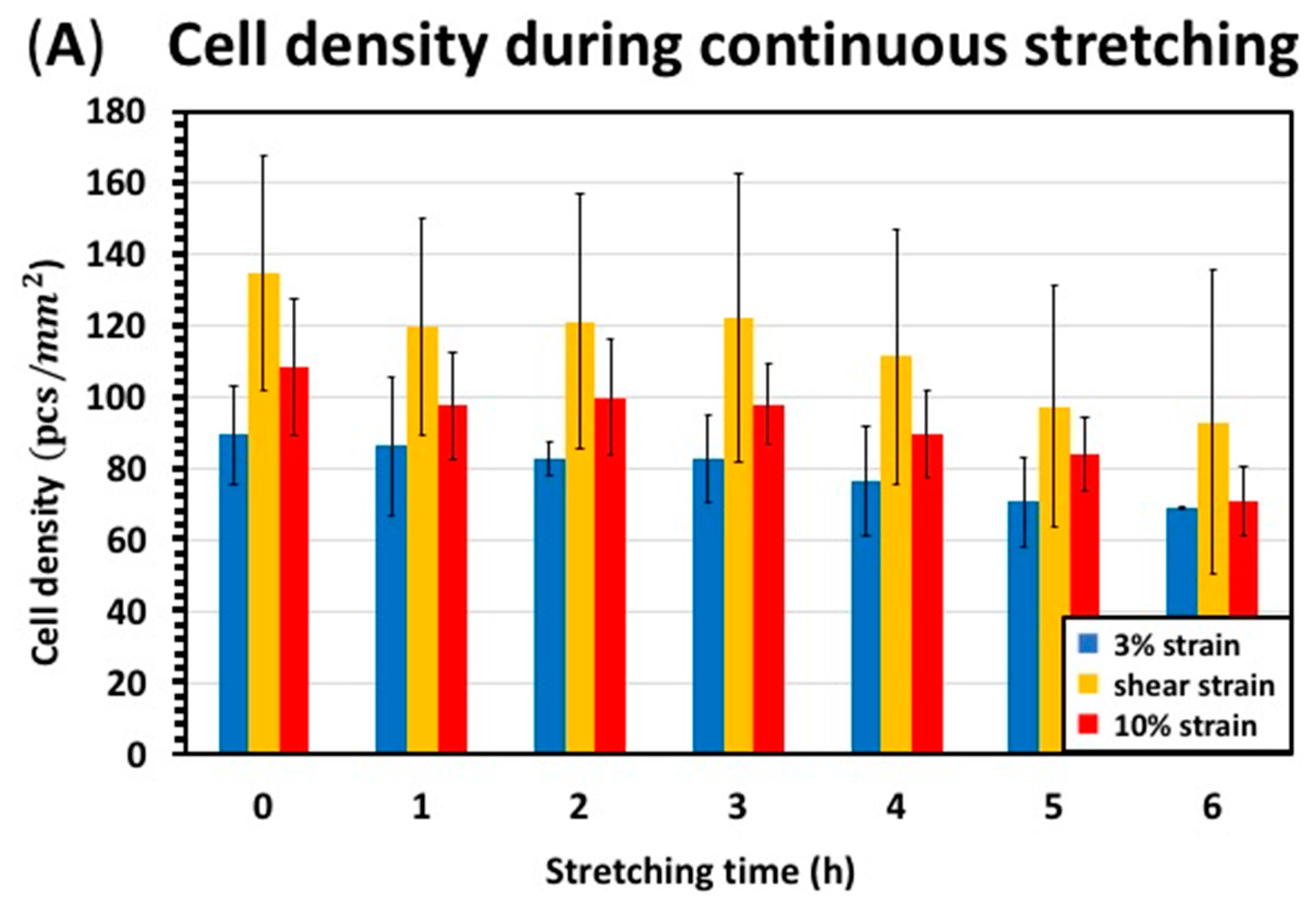 Effect of Static and Dynamic Stretching on Corneal Fibroblast Cell