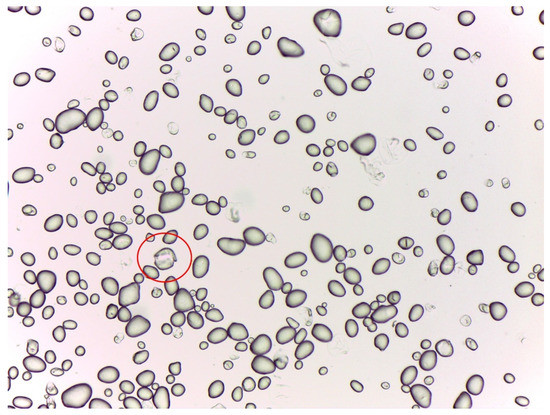 Use of ImageJ Software for Assessment of Mechanical Damage to Starch ...