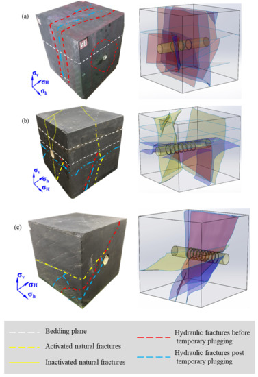 Experimental Investigation of the Growth Law of Multi-Fracture during Temporary Plugging ...