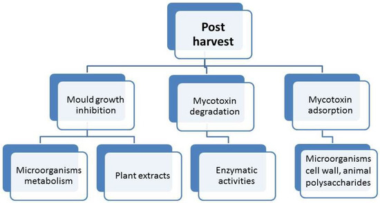 Biocontrol Methods in Avoidance and Downsizing of Mycotoxin ...