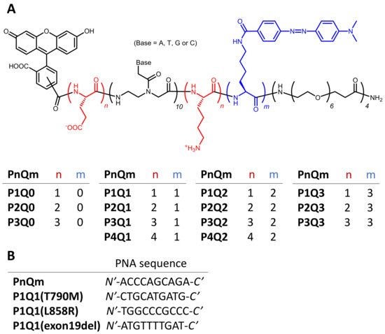 Adjusting the Structure of a Peptide Nucleic Acid (PNA) Molecular ...