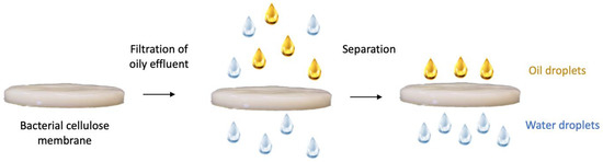 Oily Wastewater Treatment: Methods, Challenges, and Trends