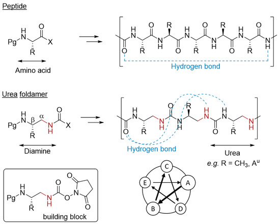 Helical Foldamers and Stapled Peptides as New Modalities in Drug ...