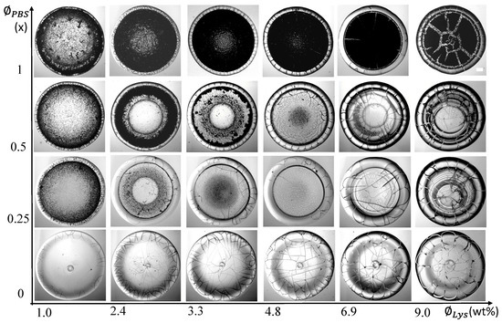 Hierarchical Exploration of Drying Patterns Formed in Drops Containing ...