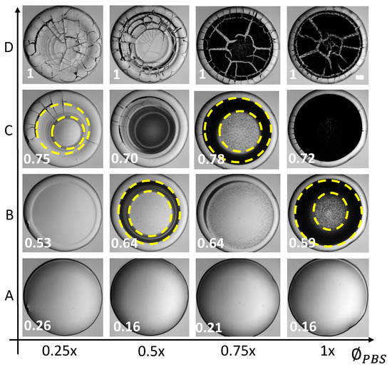 Hierarchical Exploration of Drying Patterns Formed in Drops Containing ...