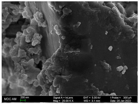 Thermogravimetric Study on Peat Catalytic Pyrolysis for Potential ...