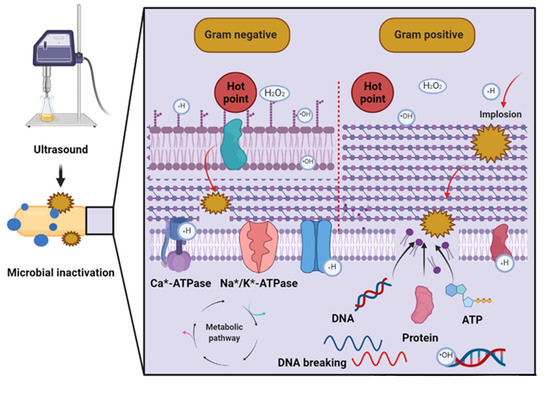 Non-Thermal Technologies Combined with Antimicrobial Peptides as ...
