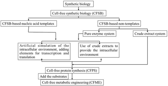 Cell-Free Escherichia coli Synthesis System Based on Crude Cell ...