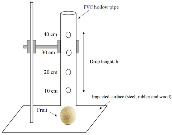 Assessment of the Quality Losses of Cantaloupe Fruit during Transportation