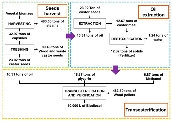 A Biorefinery Approach to Biodiesel Production from Castor Plants