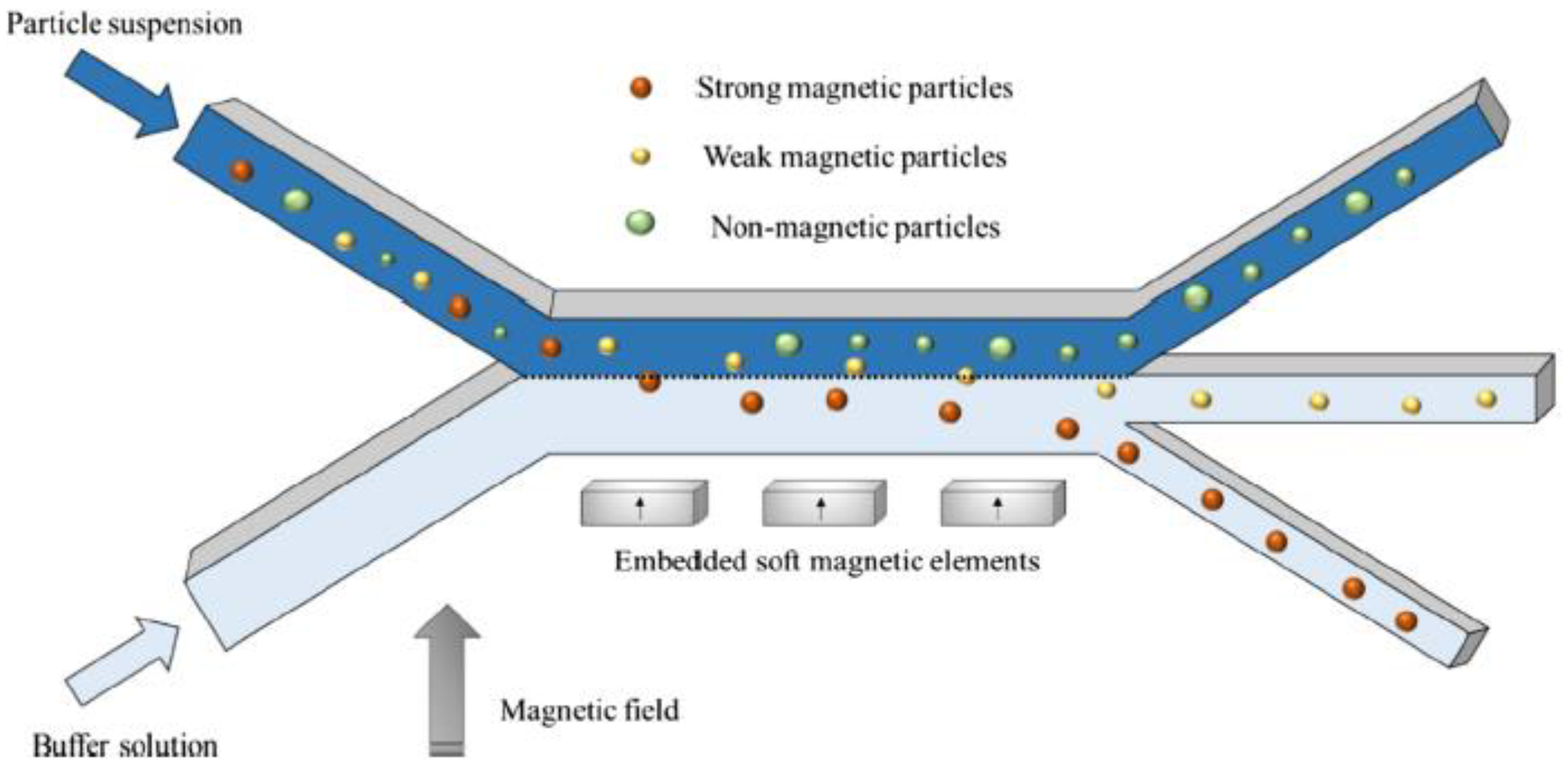 Novel Approaches Concerning the Numerical Modeling of Particle and Cell Separation in ...