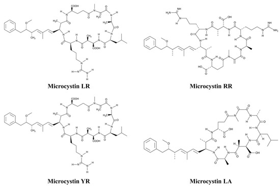 Processes | Free Full-Text | Adsorbents Used for Microcystin Removal ...
