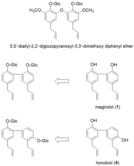 Skin-Beautifying Effects of Magnolol and Honokiol Glycosides