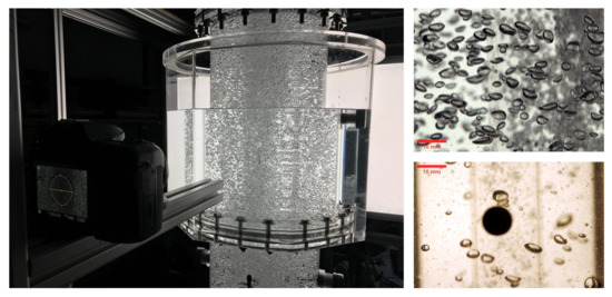 Scale-Up Strategies of Jet Loop Reactors for the Intensification of ...