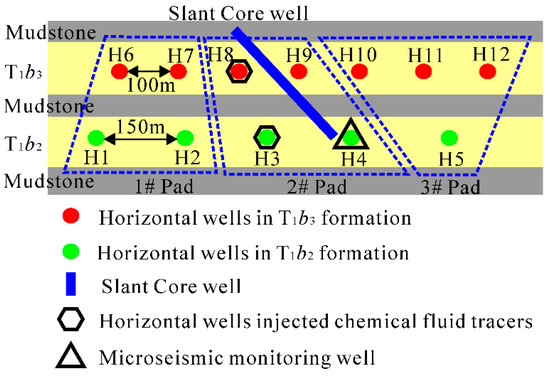 Fracture Characteristics and Distribution in Slant Core from Conglomerate Hydraulic Fracturing ...