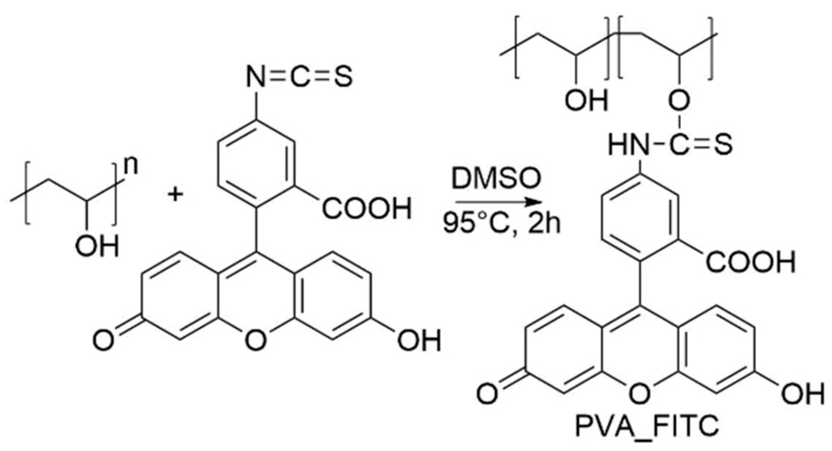 Preparation and Selection of Best-Performing Fluorescent-Based Tracers ...