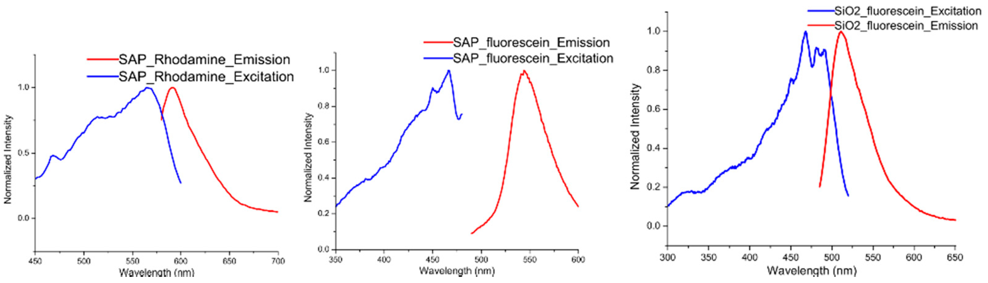 Preparation and Selection of Best-Performing Fluorescent-Based Tracers ...