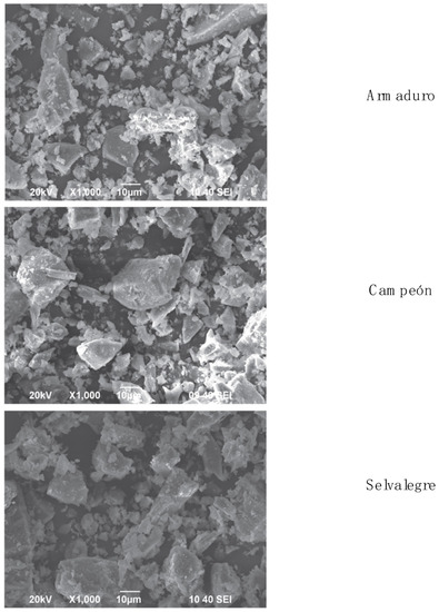 Using Natural Raw Materials and CEM Approach for the Design of Andean ...