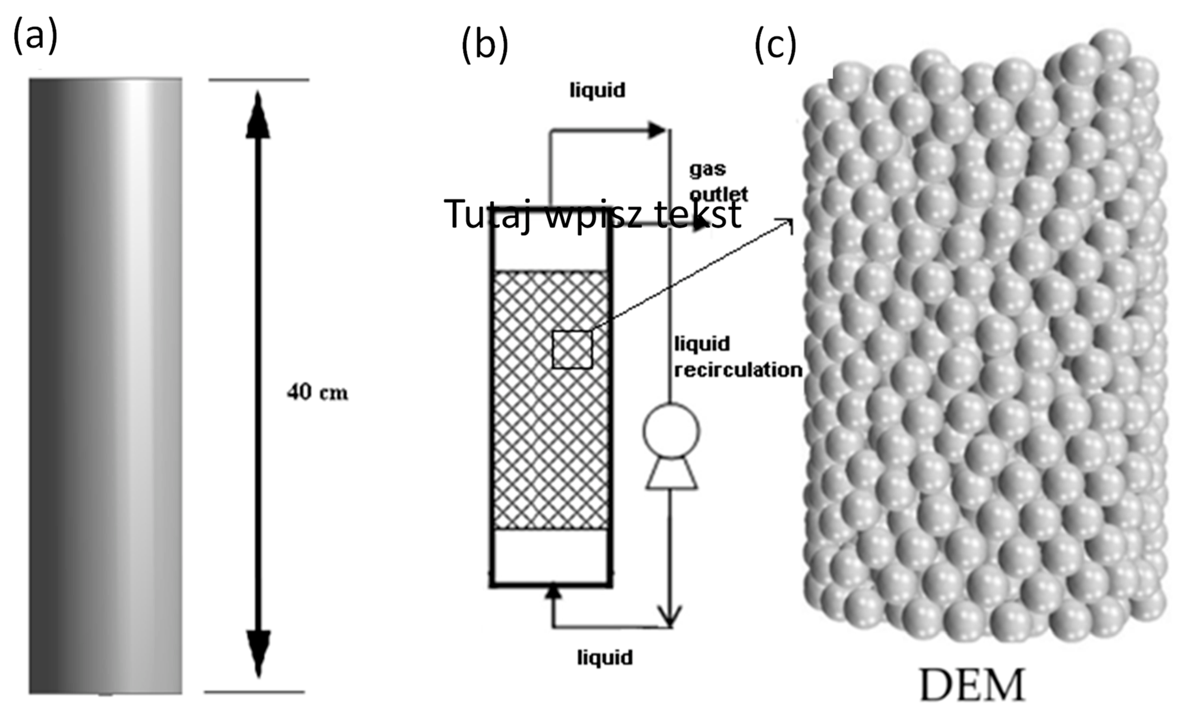 Bio-Hydrogen Production in Packed Bed Continuous Plug Flow Reactor—CFD-Multiphase Modelling
