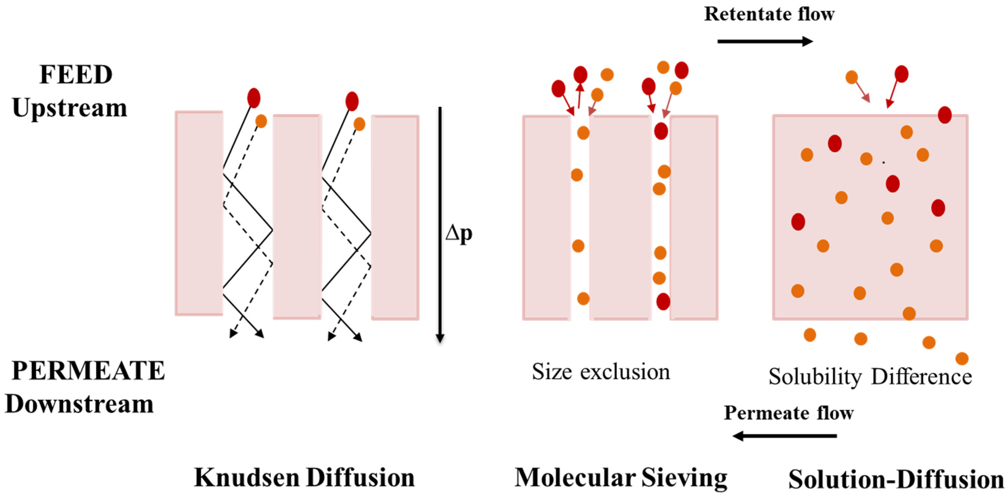 Recent Advances in Membrane-Based Biogas and Biohydrogen Upgrading
