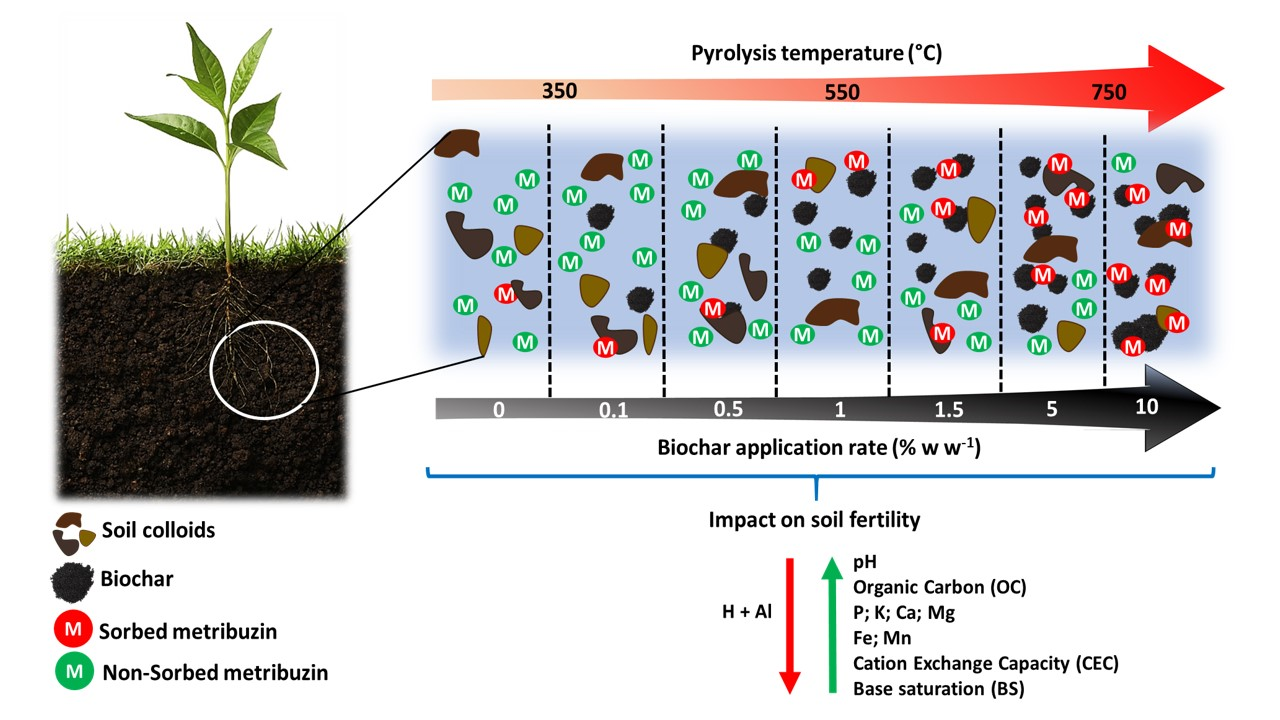 Processes | Free Full-Text | Pyrolysis Temperature and Application Rate ...