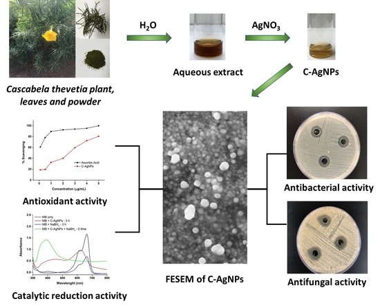 Processes | Free Full-Text | Excellent Antimicrobial, Antioxidant, and ...