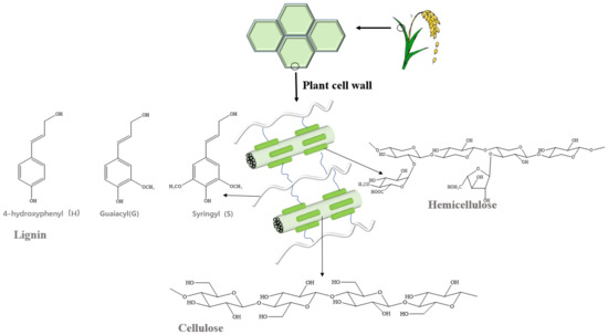 Recent Advances in the Bioconversion of Waste Straw Biomass with Steam ...