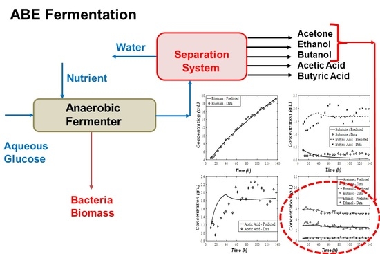 Processes | Free Full-Text | Acetone–Butanol–Ethanol Fermentation Phenomenological Models for ...