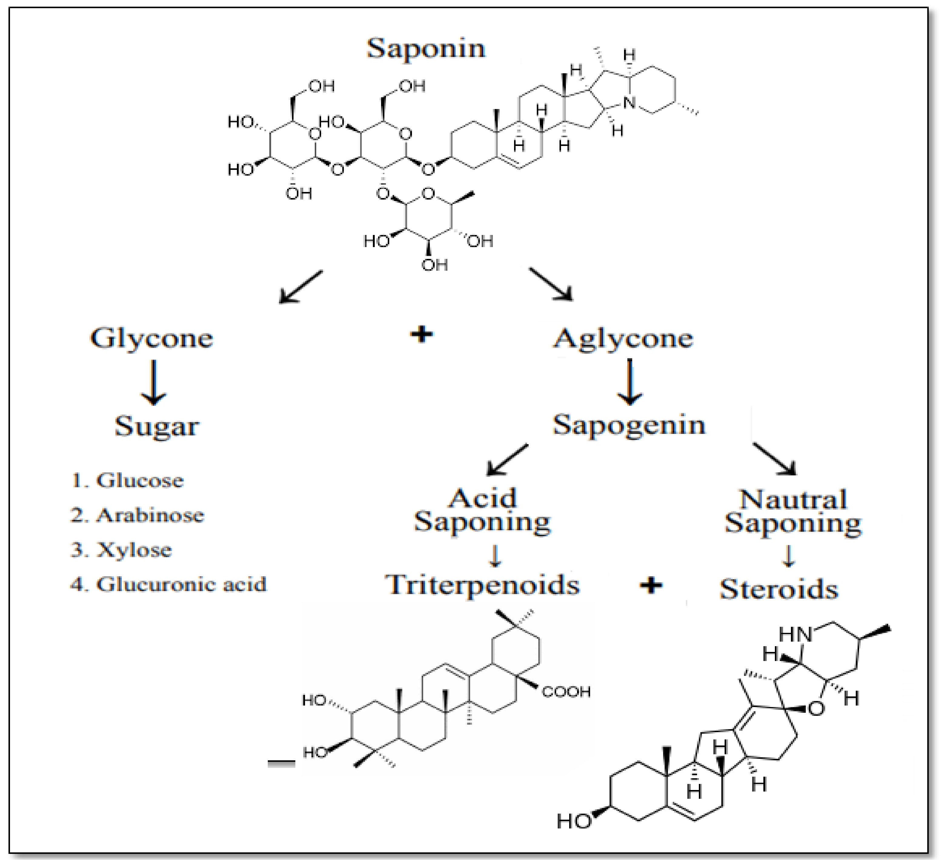 An Overview of the Potential of Medicinal Plants Used in the ...