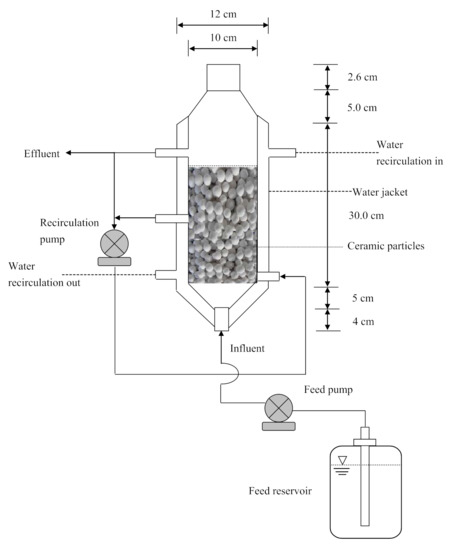 Processes | Free Full-Text | Kinetic Study of 4-Chlorophenol ...