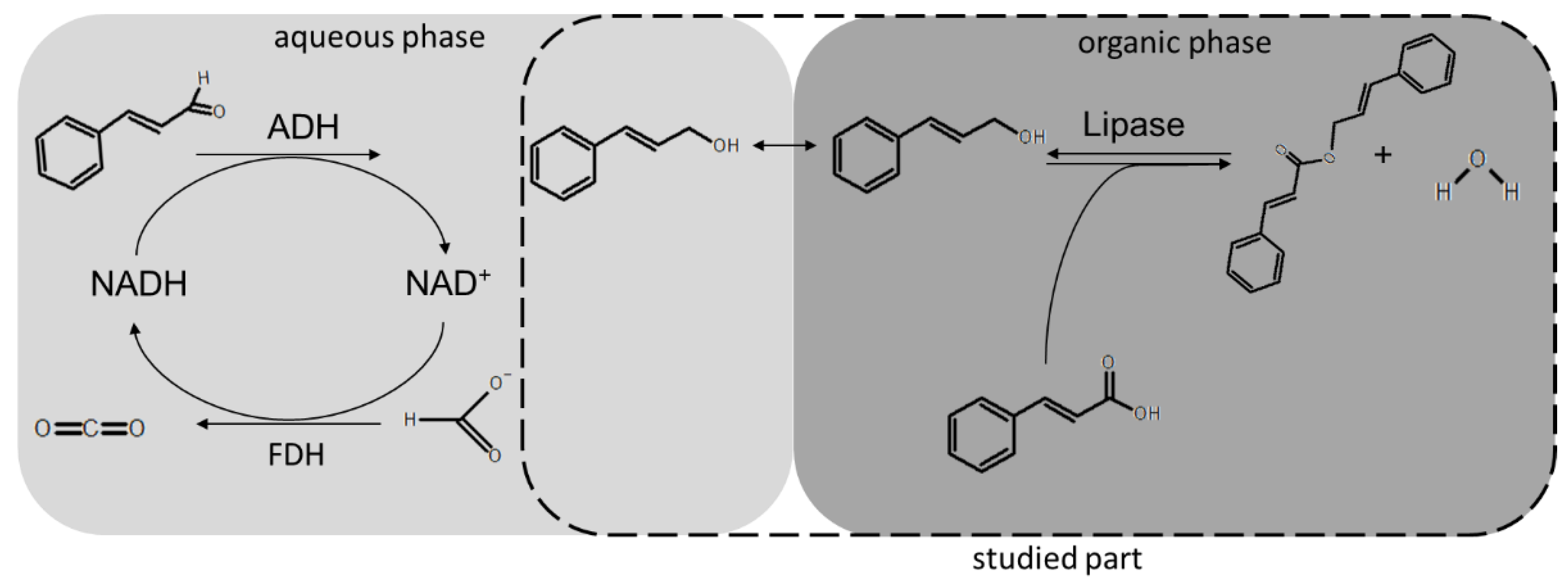 Concept of an Enzymatic Reactive Extraction Centrifuge
