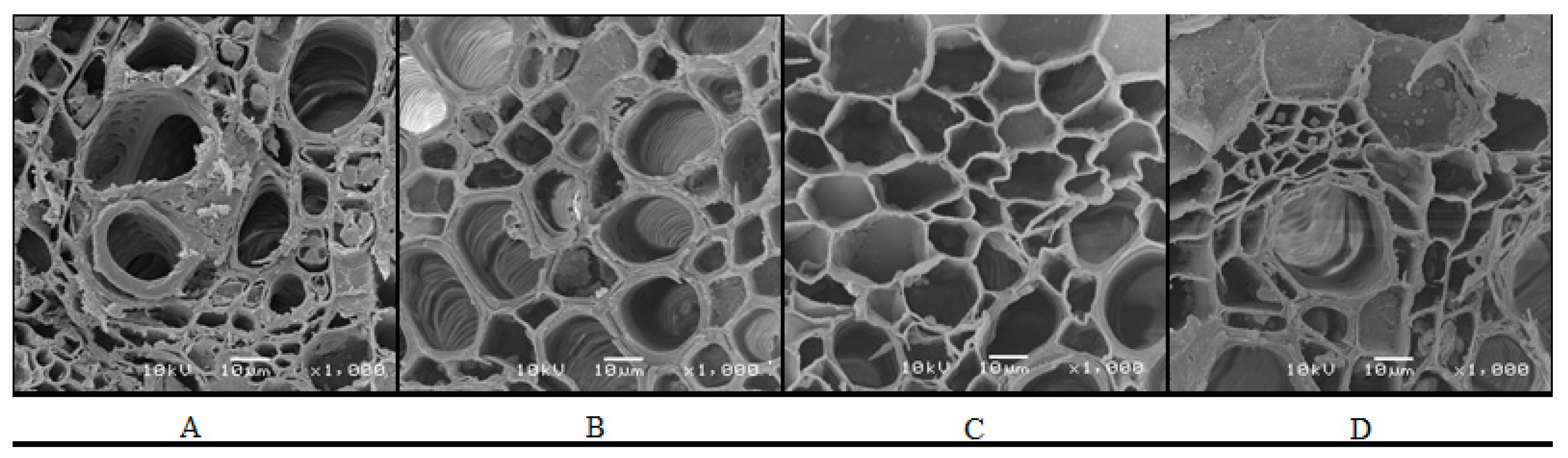 Jack Bean Development in Multimetal Contaminated Soil Amended with ...